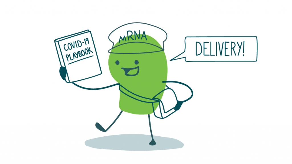 The Truth Sandwich: A Better Way to Mythbust — CommunicateHealth